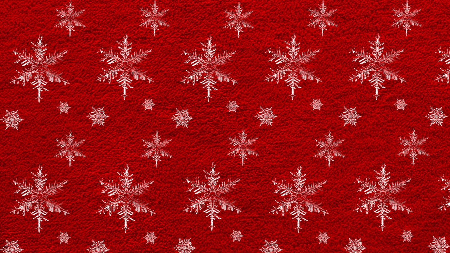 Tendances décorations de Noël : Mettre ses portes et fenêtres en valeur ...
